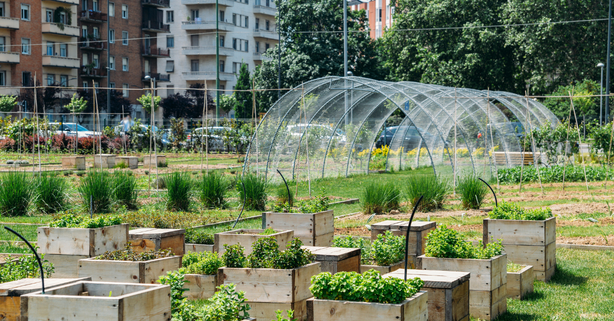 Investing for Climate Justice: An Intersectional Approach - Cambridge ...