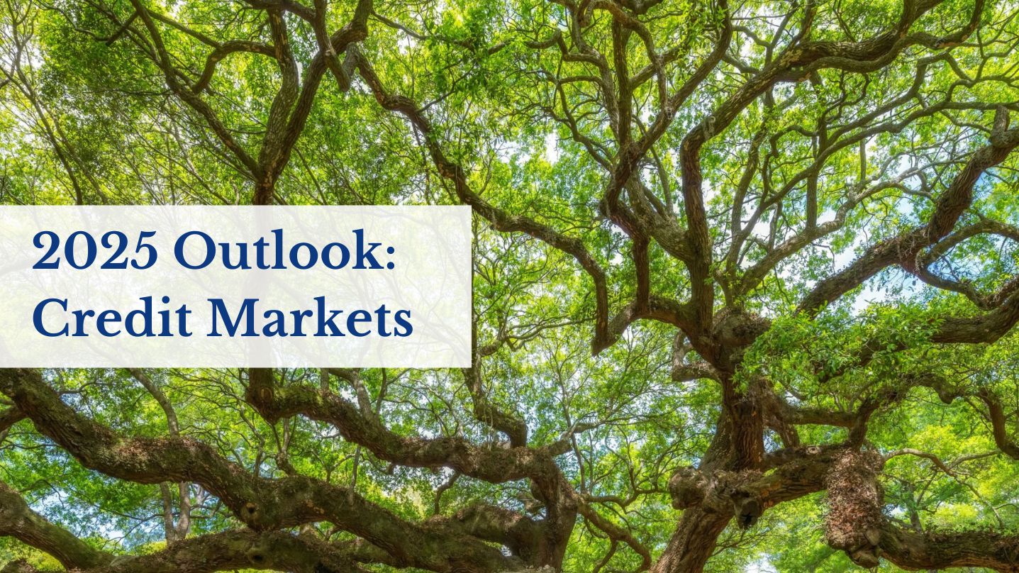 2025 Outlook: Credit Markets - Cambridge Associates